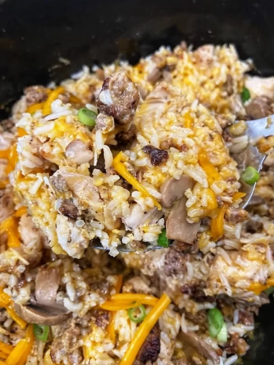 39 Awesome Leftover Rice Recipes: And Valuable Answers Your Questions
