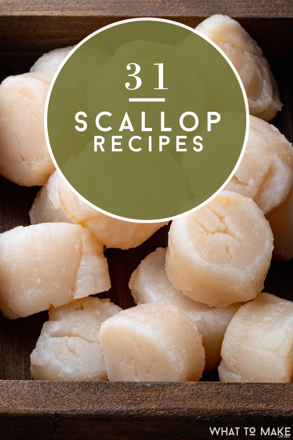 What to make with scallops: 31 delicious recipes plus useful storage tips