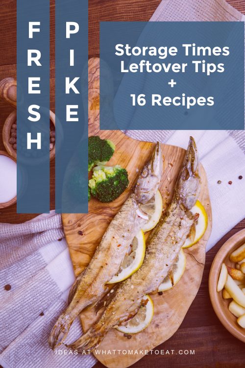 16 Best Pike Recipes plus useful storage information