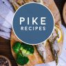 16 Best Pike Recipes plus useful storage information