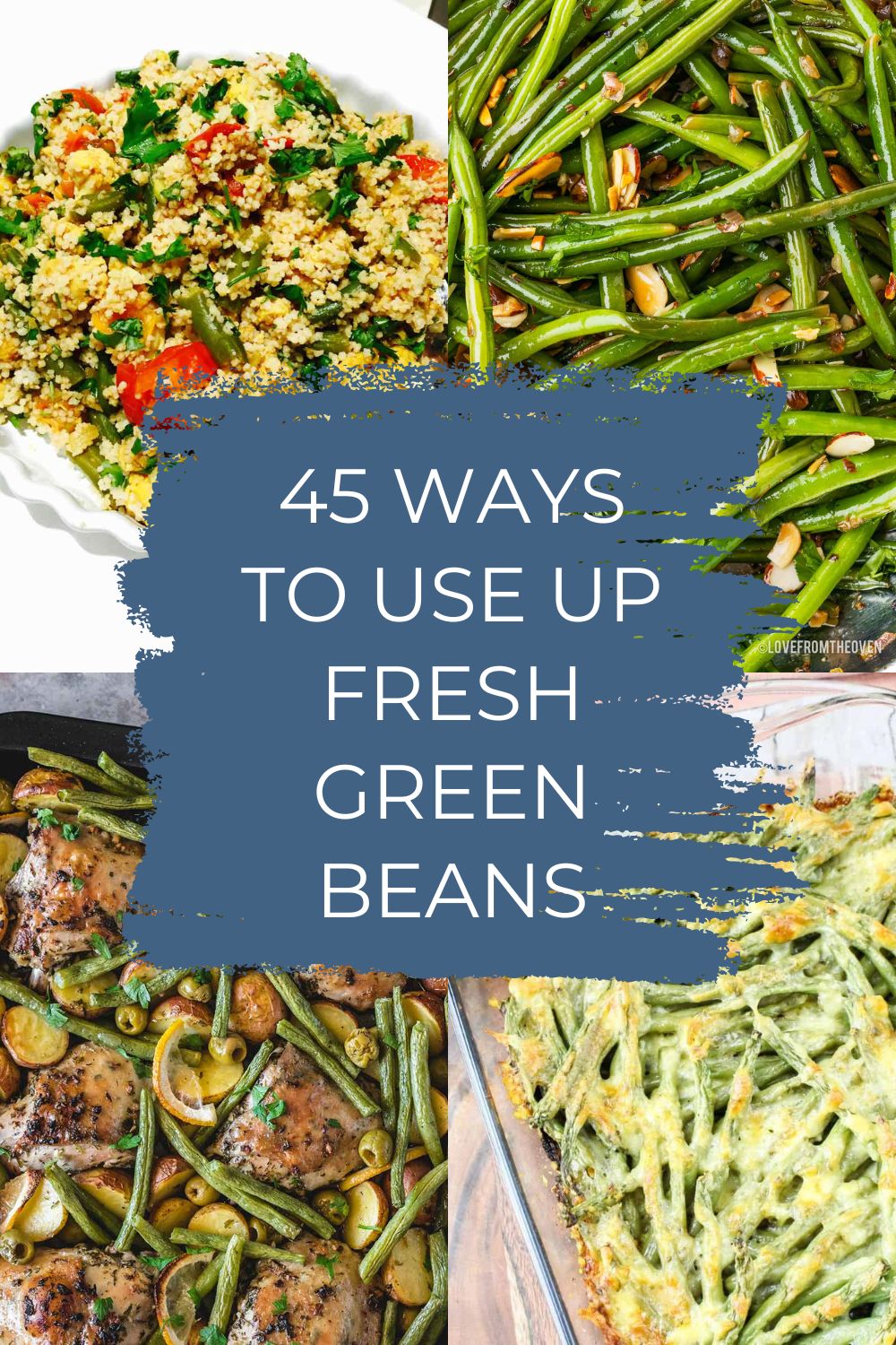 45 best recipes with fresh green beans plus useful information